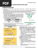 Overview of Biochemical Molecules | PDF | Rna | Nucleotides