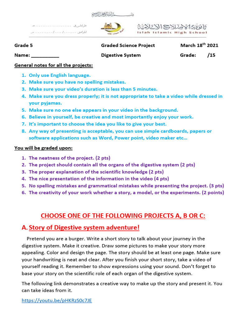DIGESTION Project | PDF | Science | Cognitive Science