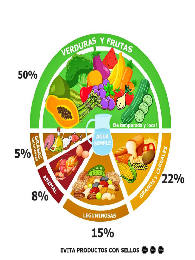 Plato Del Buen Comer Con Porcentaje | PDF