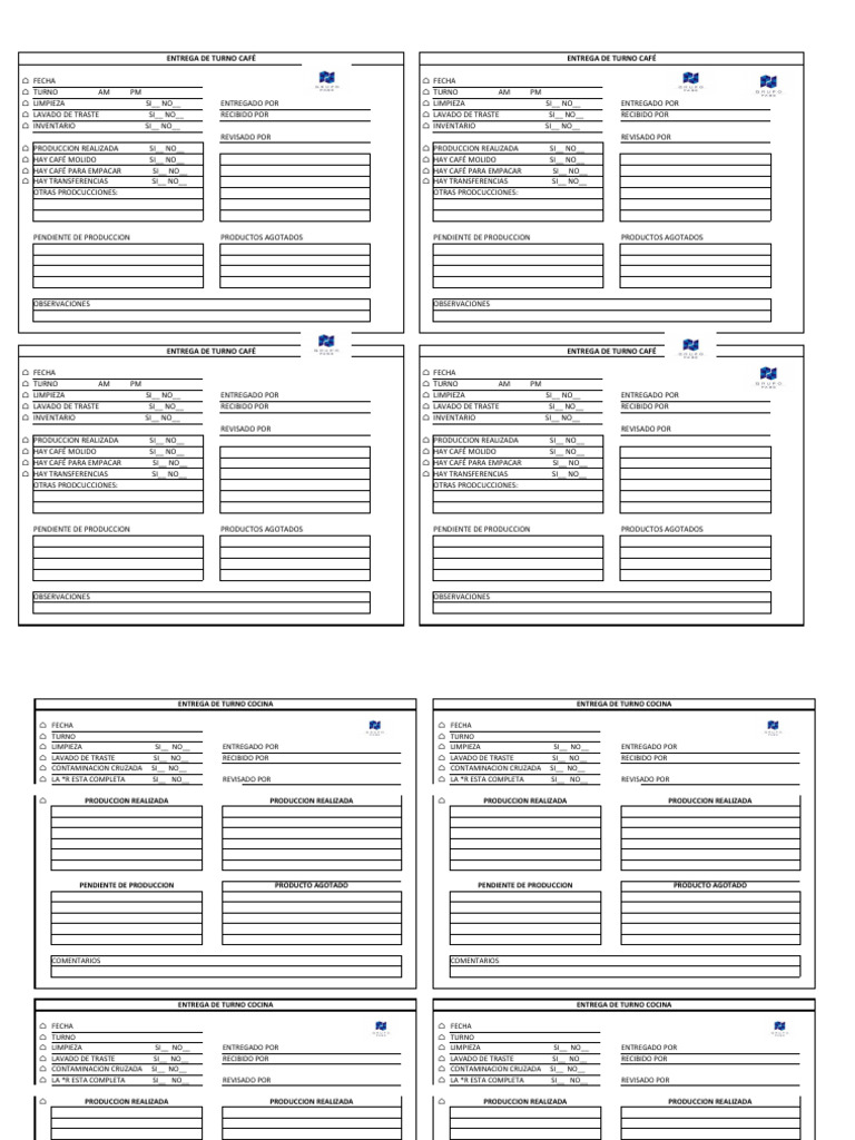 Formato Entrega de Turno | PDF