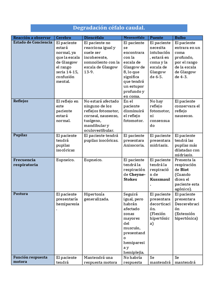 Degradacion Cefalo Caudal. Wally | PDF | Coma | Fisiología