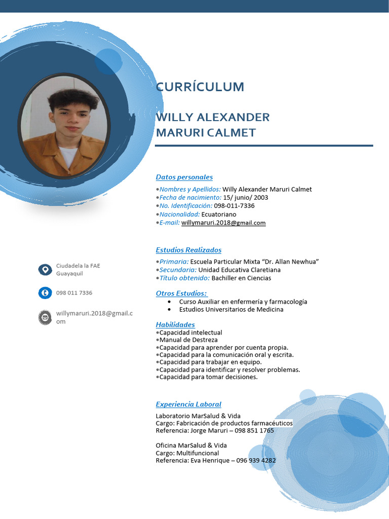 Currículum. Willy Maruri | PDF