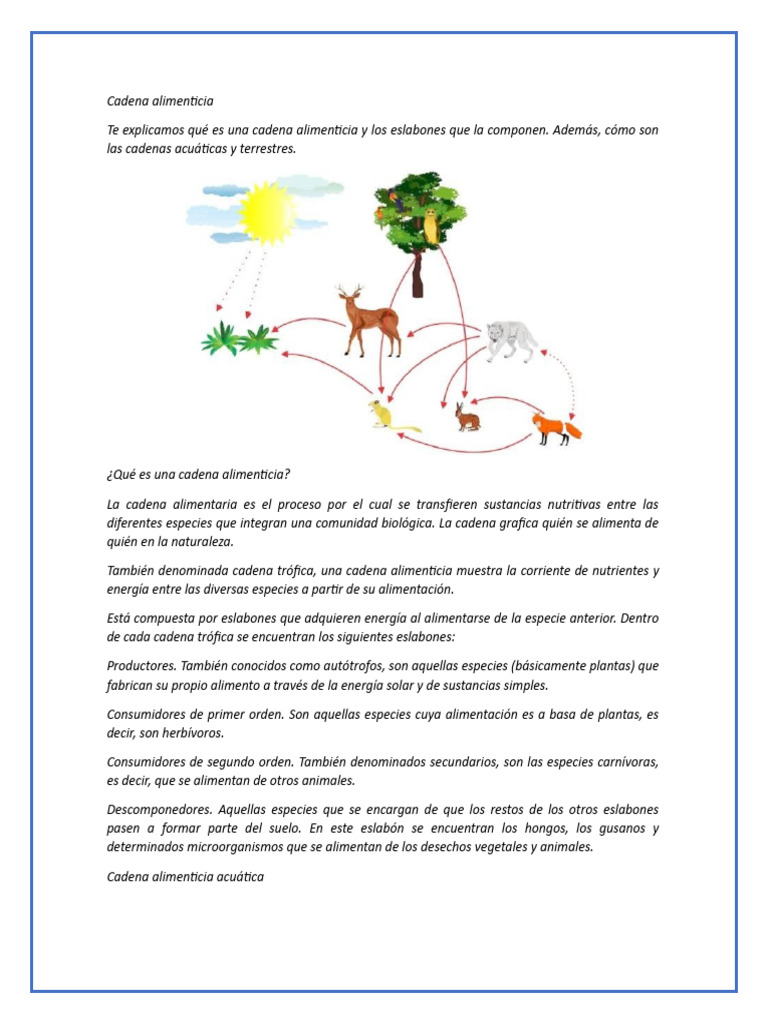 Cadena Alimenticia: Tipos y Ejemplos | PDF | Red alimentaria | Ecología ...