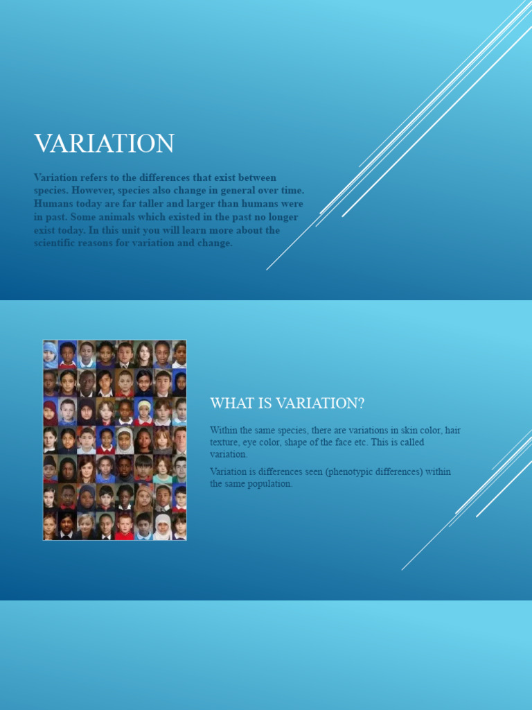 Variation Pdf