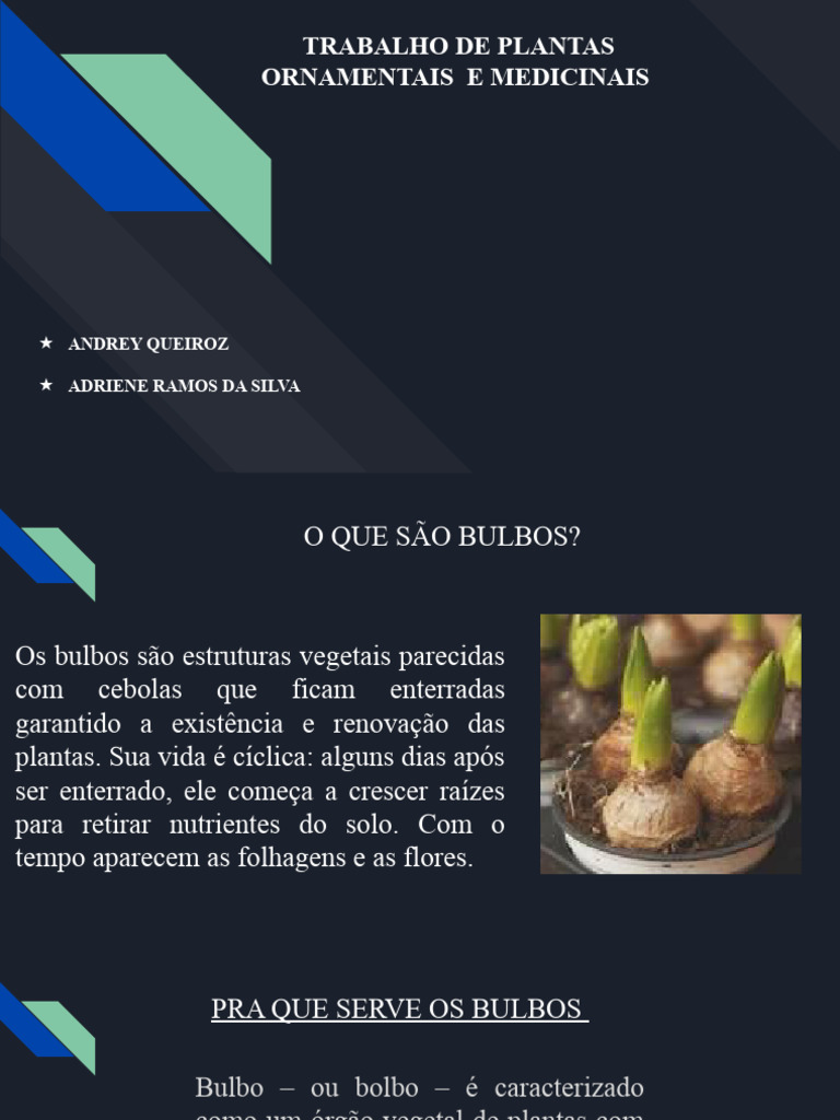 BULBOS | PDF
