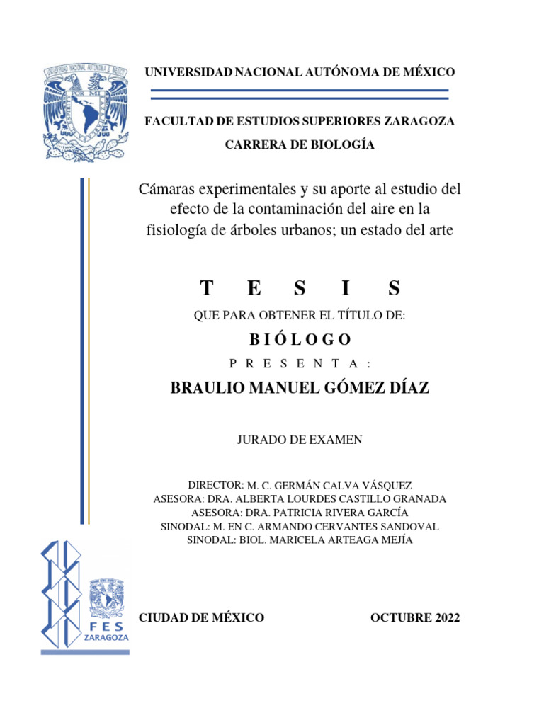 Tesis GDBM 18102022 | PDF | Contaminación | Ozono