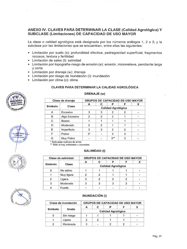 Anexo IV Reglamento CTCUM | PDF