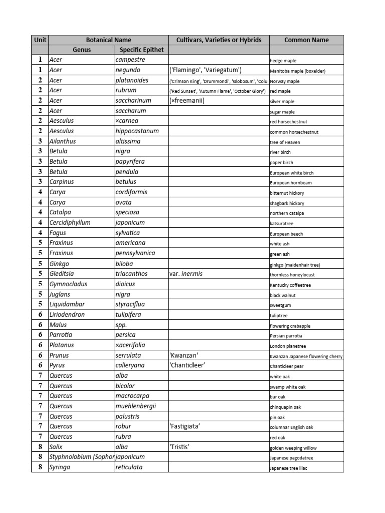 Deciduous Tree and Shrub Features - Template | PDF | Shrub | Trees