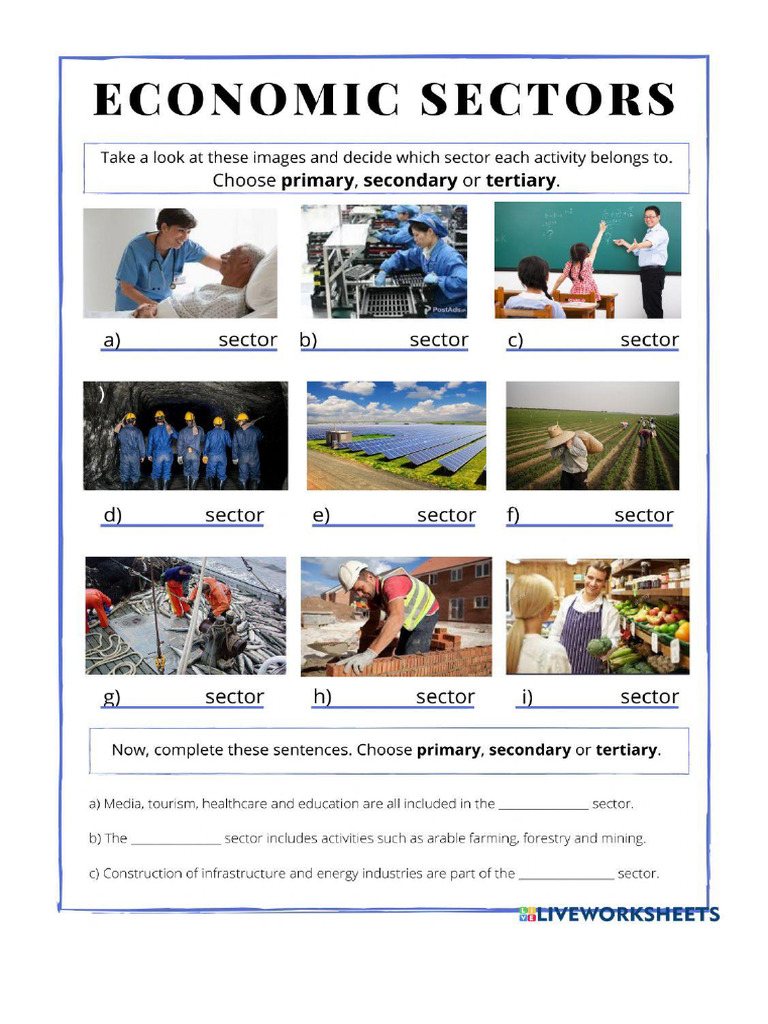 Economic Sectors Exercise One Business | PDF