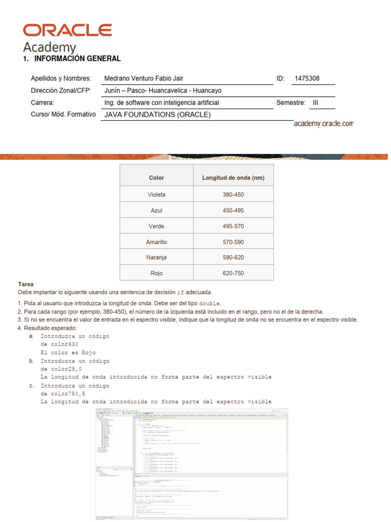Tarea 2 | PDF | Color | Java (lenguaje de programación)