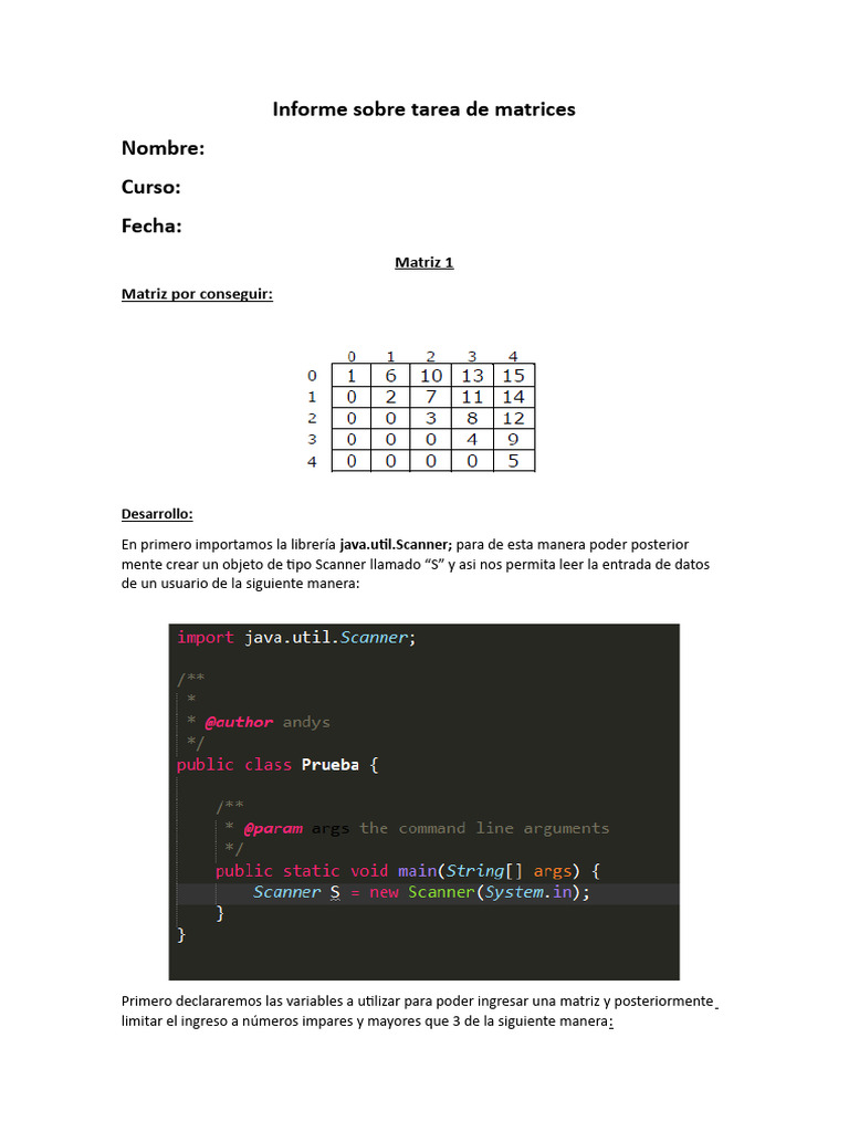 Informe Matriz | PDF | Matriz (Matemáticas) | Java (lenguaje de programación)