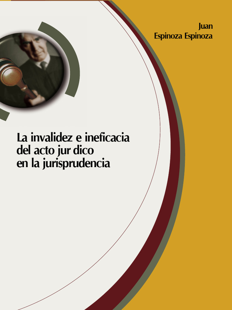 La Invalidez e Ineficacia Del Acto Juridico en La Jurisprudencia | PDF | Nulo (ley) | Propiedad