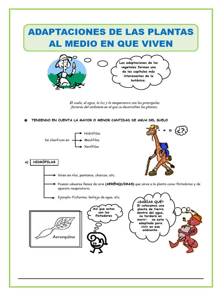 Adaptaciones de Las Plantas para Segundo de Secundaria | PDF | Plantas ...
