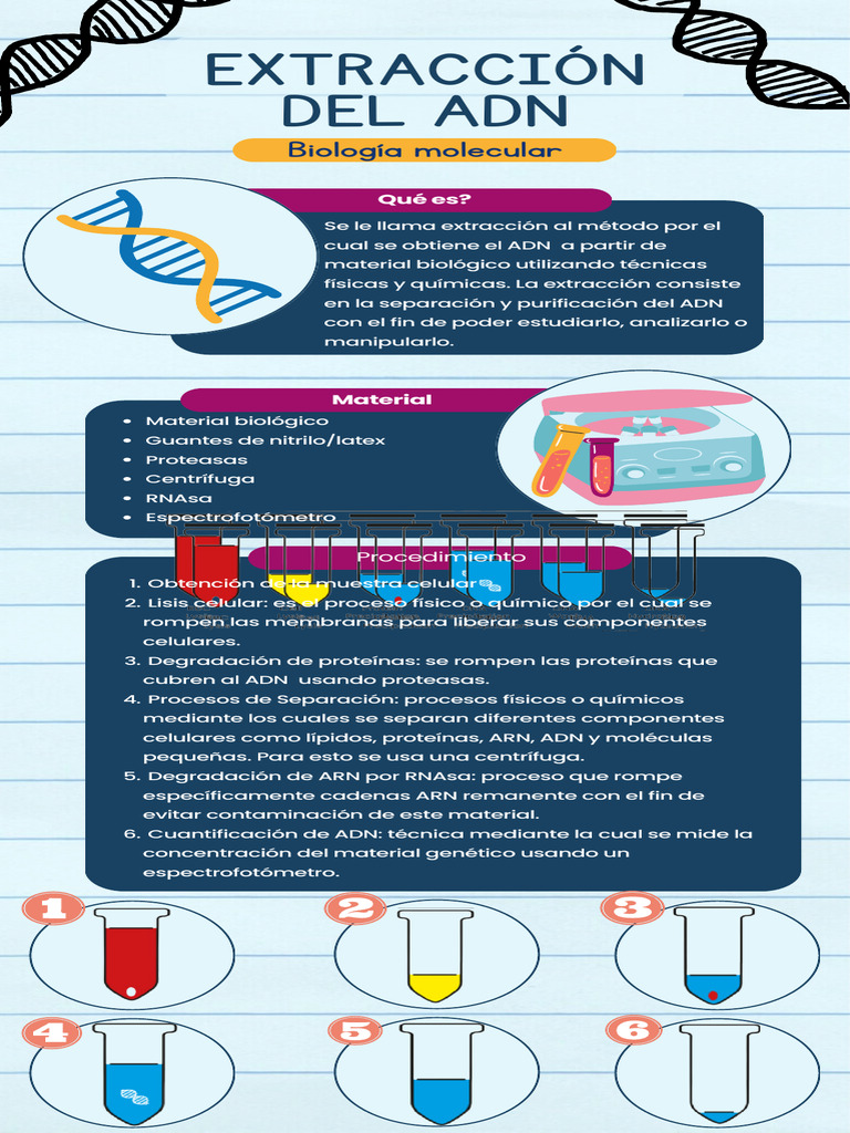 Extracción de Adn | PDF
