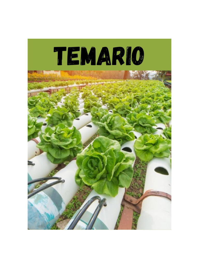 Temario Hidroponía 2023 | PDF | Hidroponia
