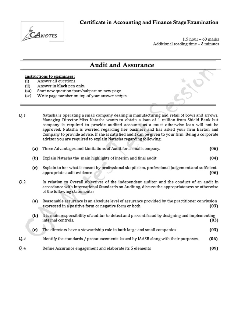 AUDIT Test 1 Chapter 1 QP | PDF | Audit | Business Economics