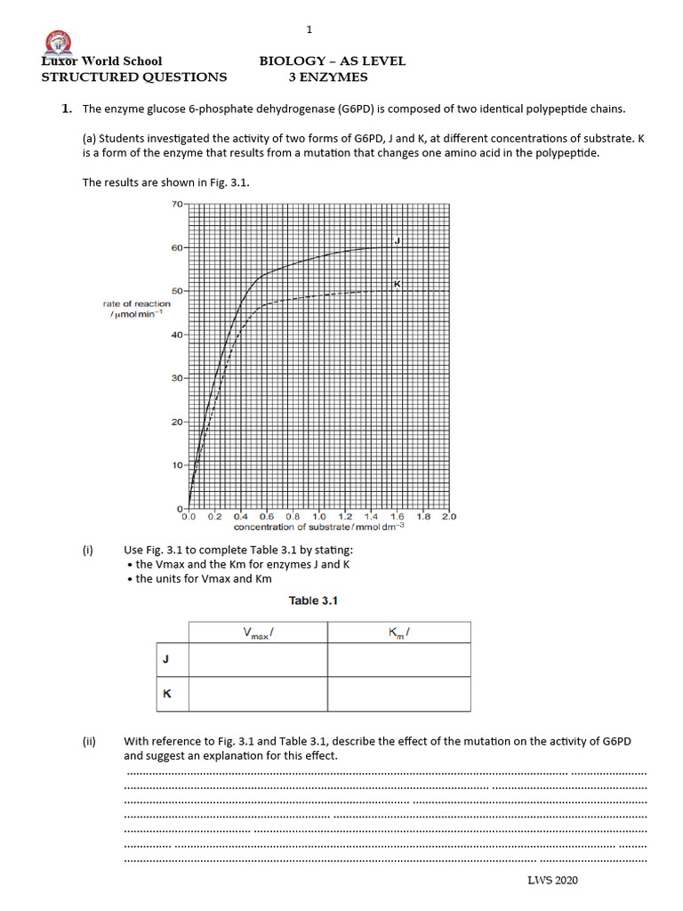 3 Enzymes - Structured QN | PDF | Enzyme | Proteolysis