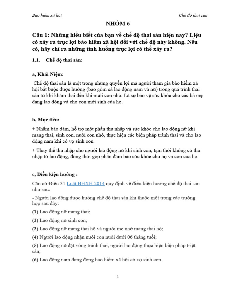 Nhóm 6 - BHXH | PDF