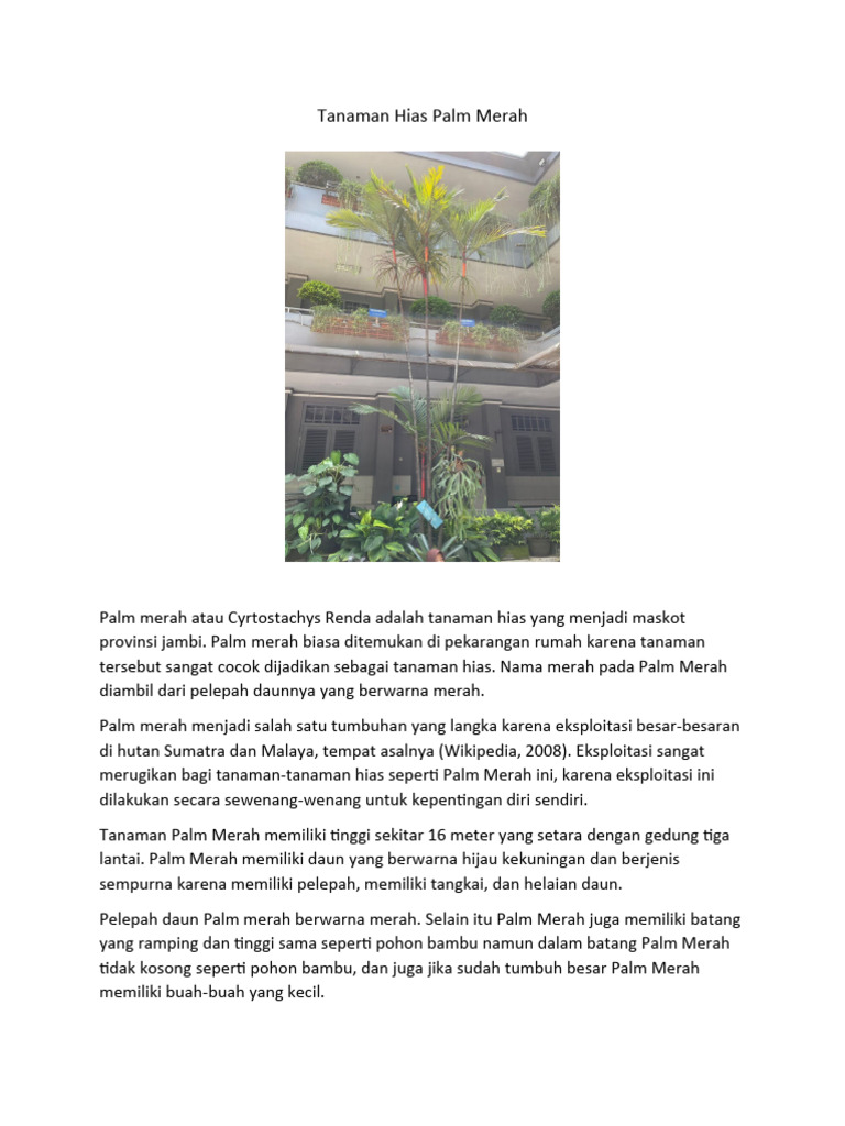 Teks LHO Tanaman Hias Palm Merah | PDF | Griya & Taman | Teknologi ...
