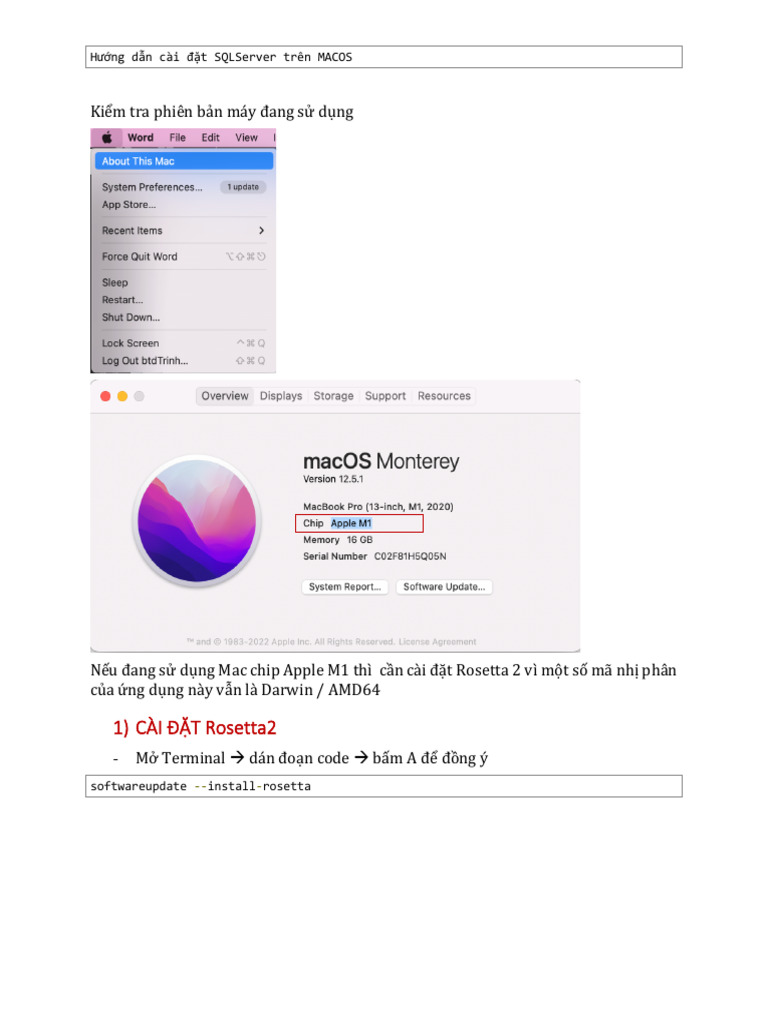 HuongDanCaiDatMSQL MacOS | PDF