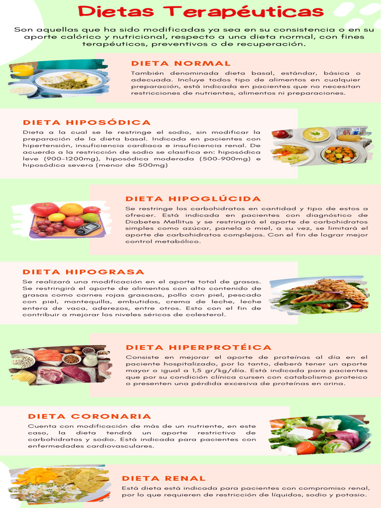 Dietas Terapéuticas | PDF | Dieta | Alimentos