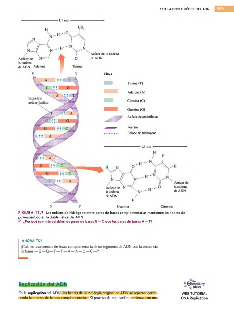 Lectura 2 Semana 09 Upc pb1 | PDF | Rna | Messenger Rna