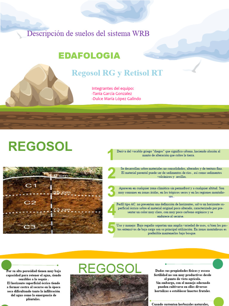 Características del Suelo Regosol | PDF | Agua | Los bosques