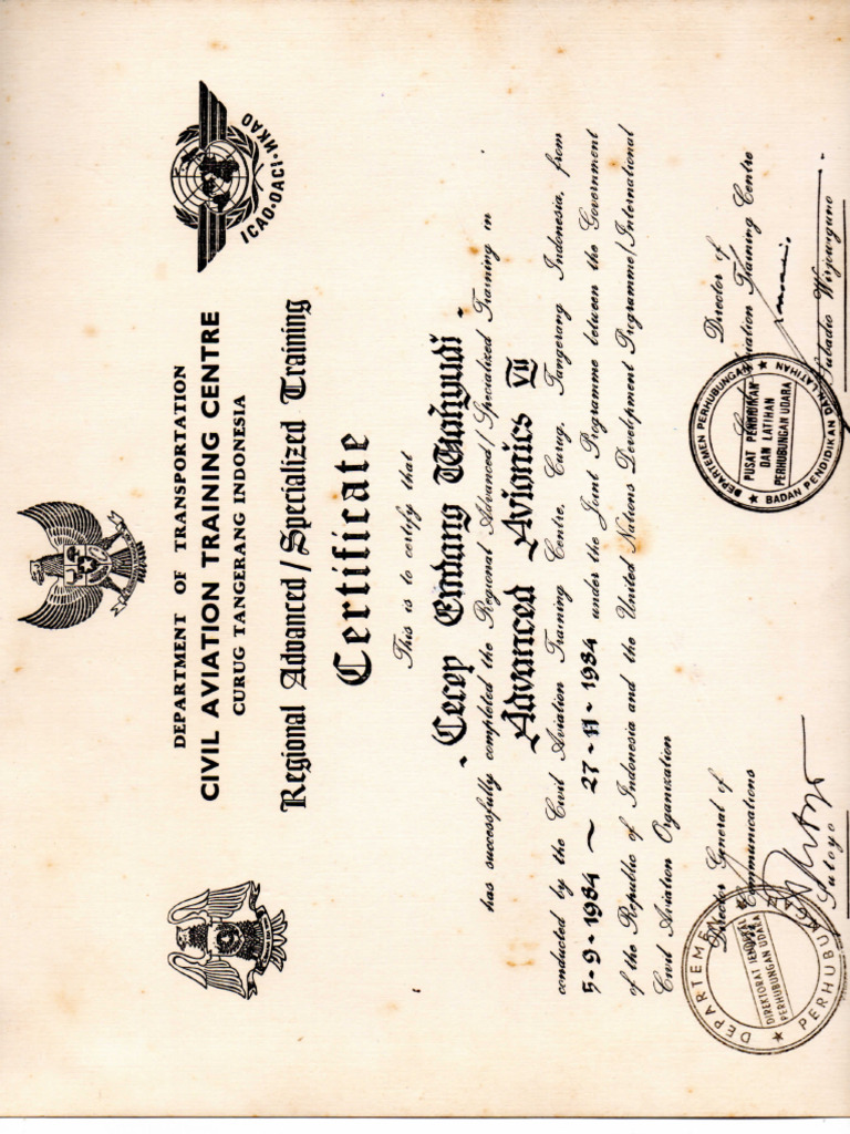 Img019 Sert RAST | PDF