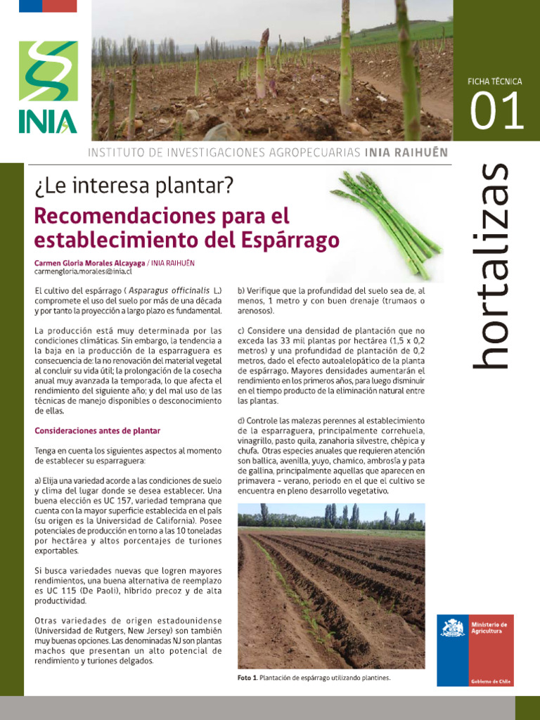 Ficha Técnica INIA #01 | PDF