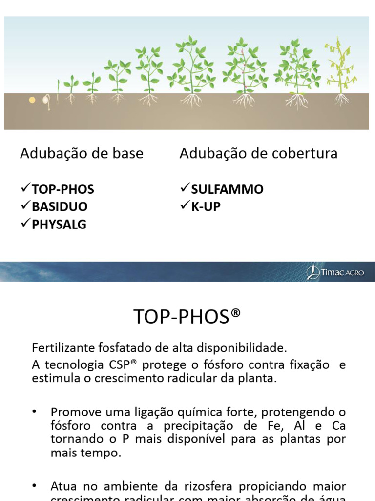 1 - Top-Phos | PDF | Fertilizante | Solo