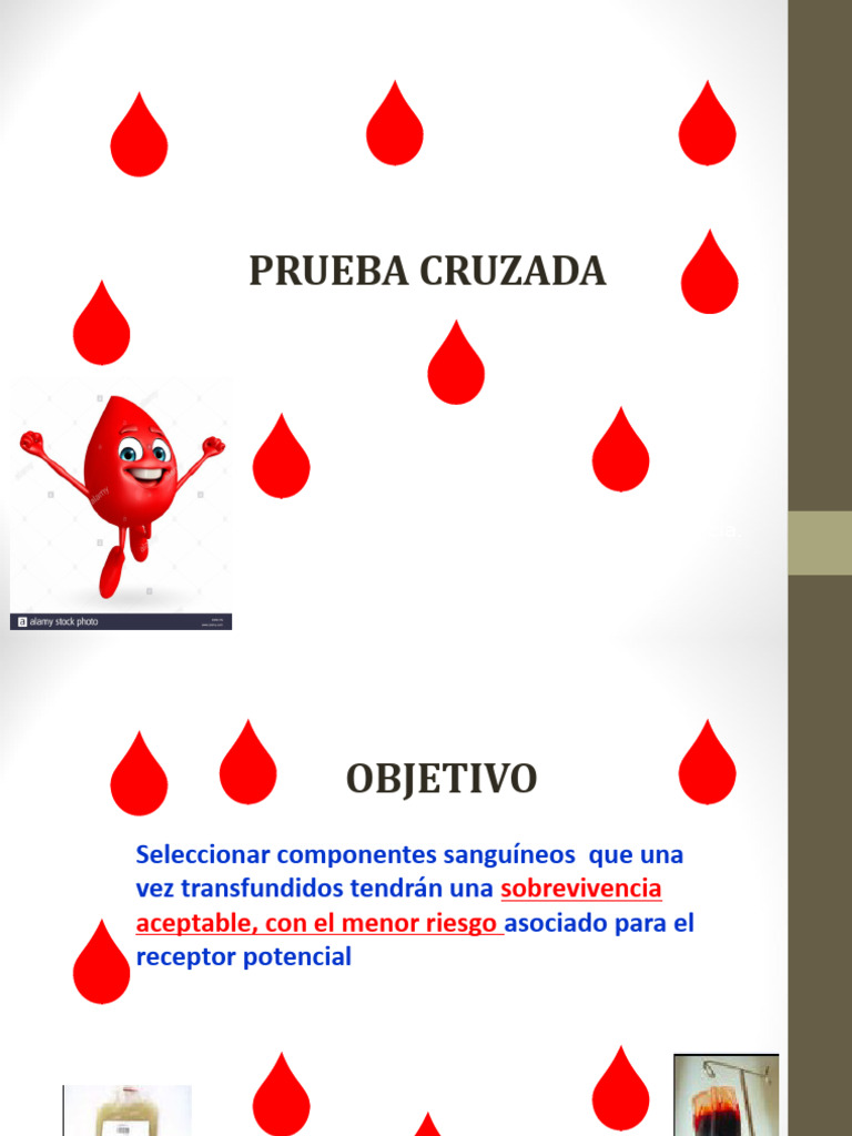 Pruebas Cruzadas (Pc Menor) | PDF | Sangre | Tipo de sangre