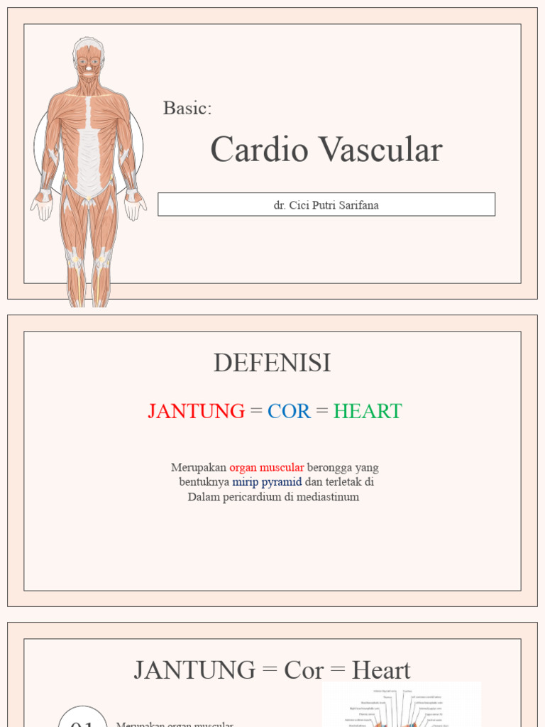 Anatomi Auricula Dextra Jantung Pdf