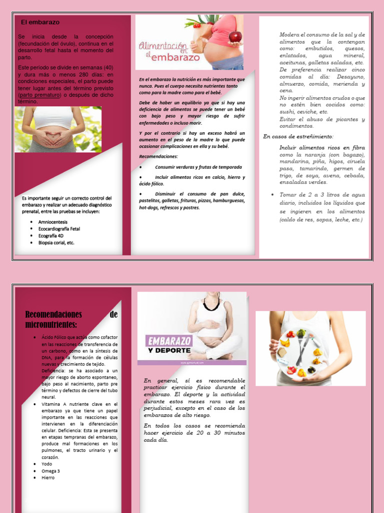 Triptico de Embarazo1 | PDF | El embarazo | Alimentos