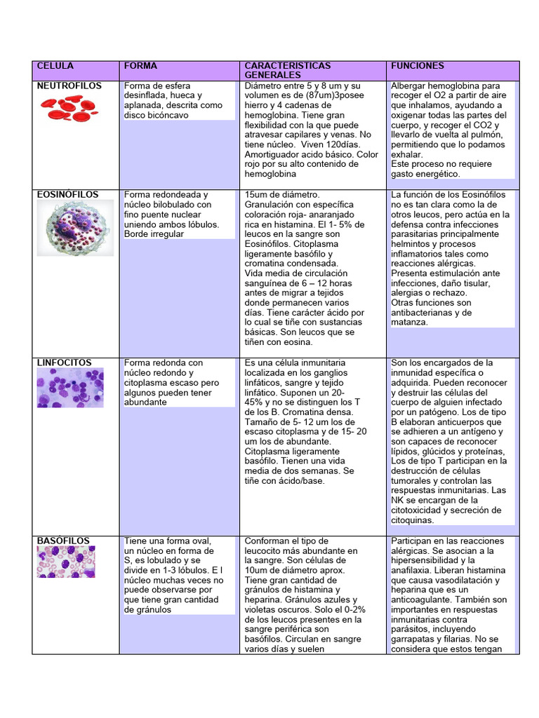 Cuadro Comparativo | PDF | Leucocito | Sistema inmune