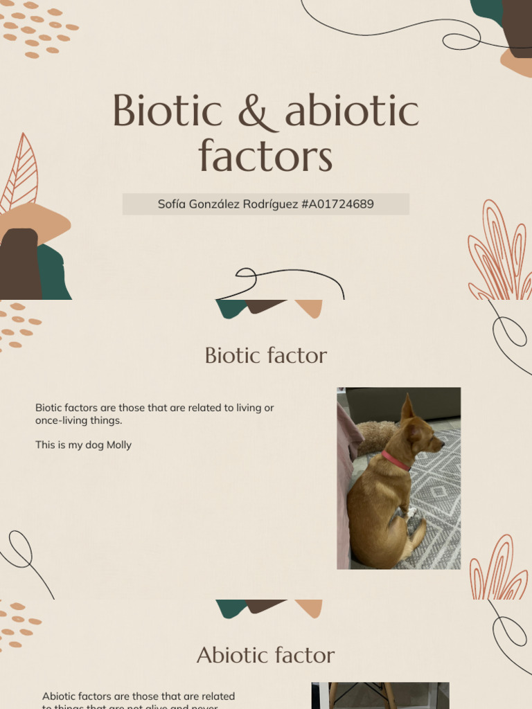 Biotic & Abiotic Factors | PDF | Wellness