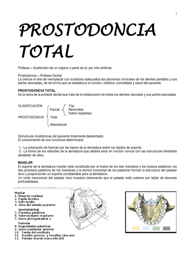 Manual Prostodoncia Total | PDF | Dentadura postiza | Hueso