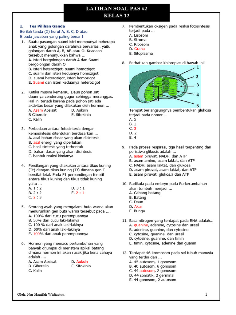 Latihan Soal PAS 1 #2 | PDF
