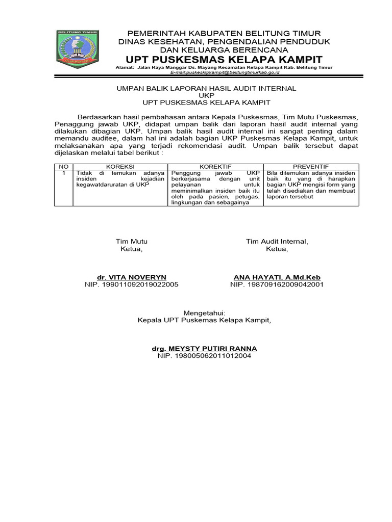 Umpan Balik Audit Ukp | PDF