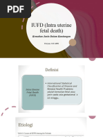 Death Conception FIX | PDF