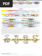 Early Bird Activity Book | PDF | Experience | Disability