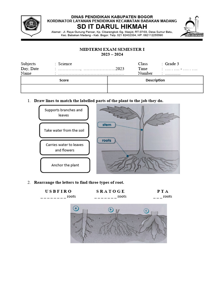 soal STS 1 Science Grade 3 2023 | PDF