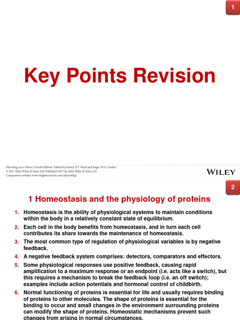 Key Points Revision | PDF | Diastole | Heart Valve