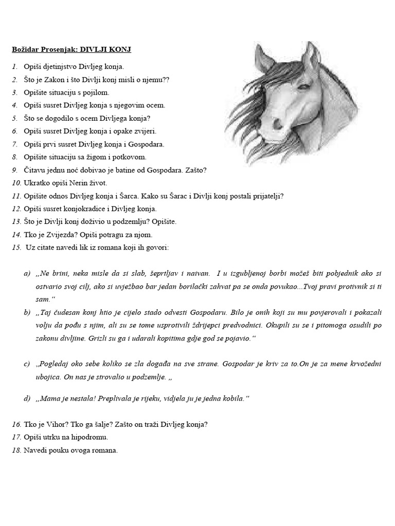 BOZIDAR - PROSENJAK - Divlji Konj | PDF