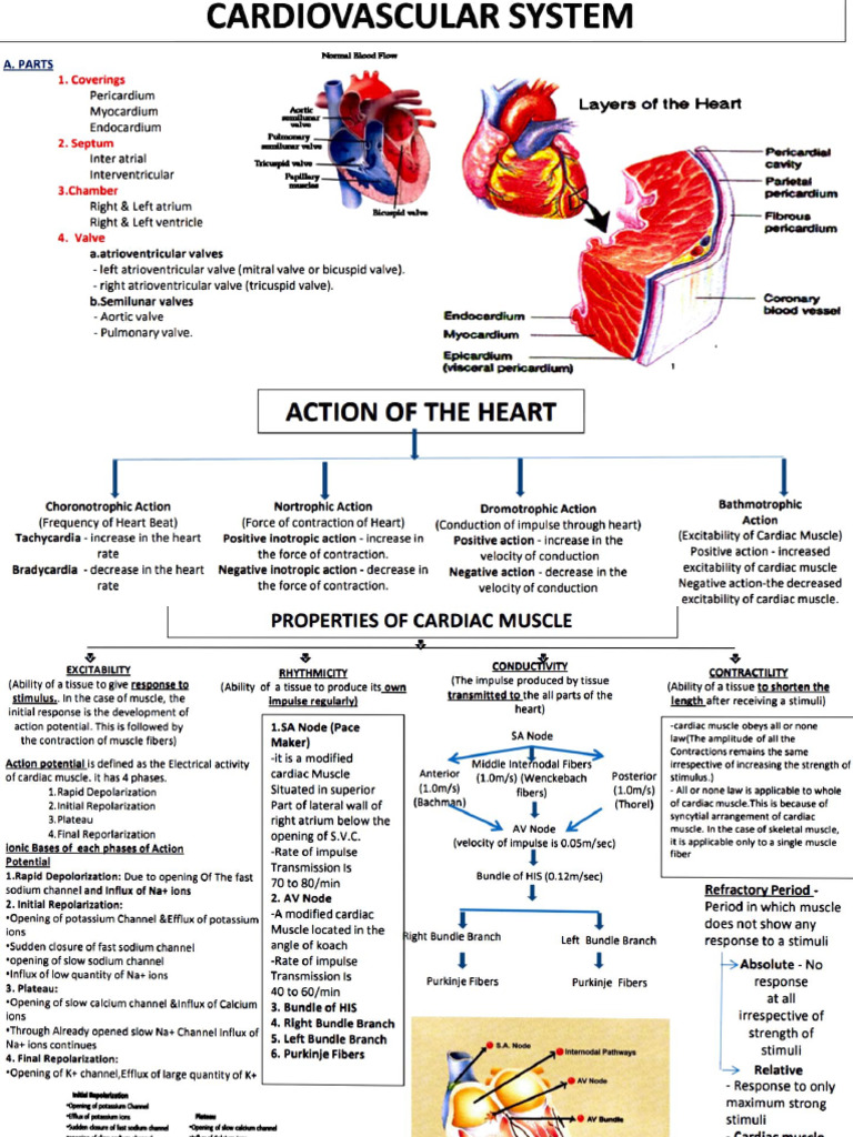 Cvs Ppt Chart Pdf