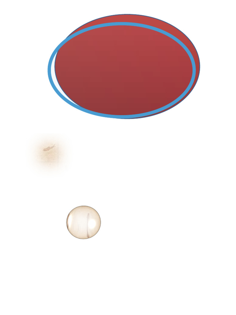 DAT 3rd Grading Activity | PDF