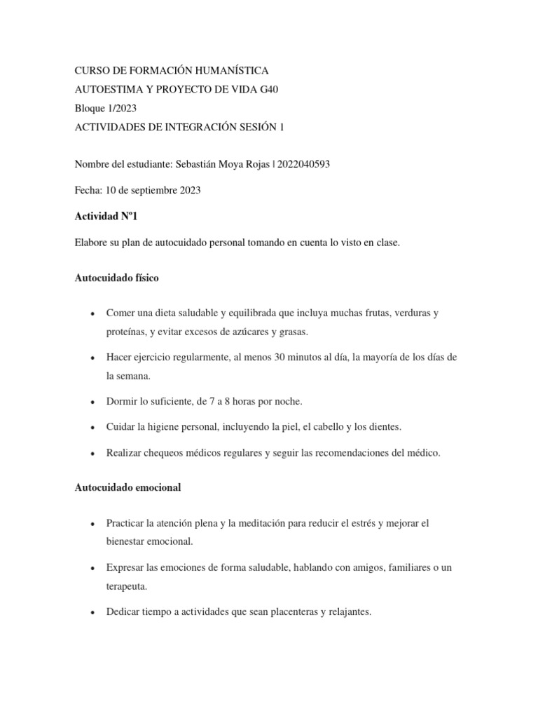 Actividades Sesión 1 Sebastian Moya | PDF | Autoestima | Las emociones