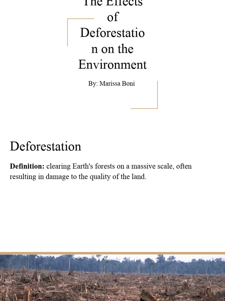 The Effects of Deforestation On The Environment - APES Final | PDF ...