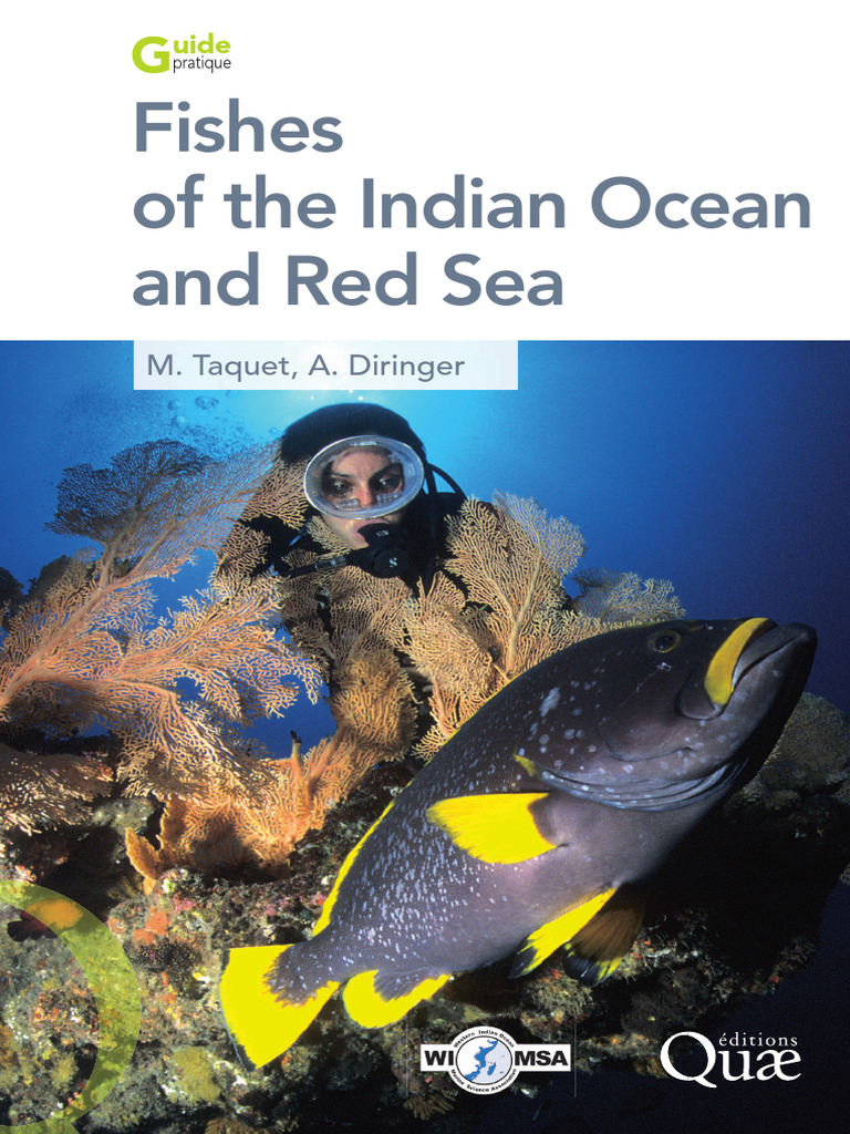 Extrait Fishes of The Indian Ocean and Red Sea 9782759218899 | PDF ...