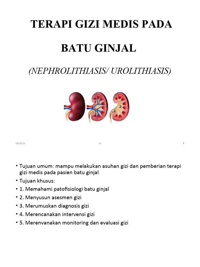 Terapi Gizi untuk Batu Ginjal | PDF