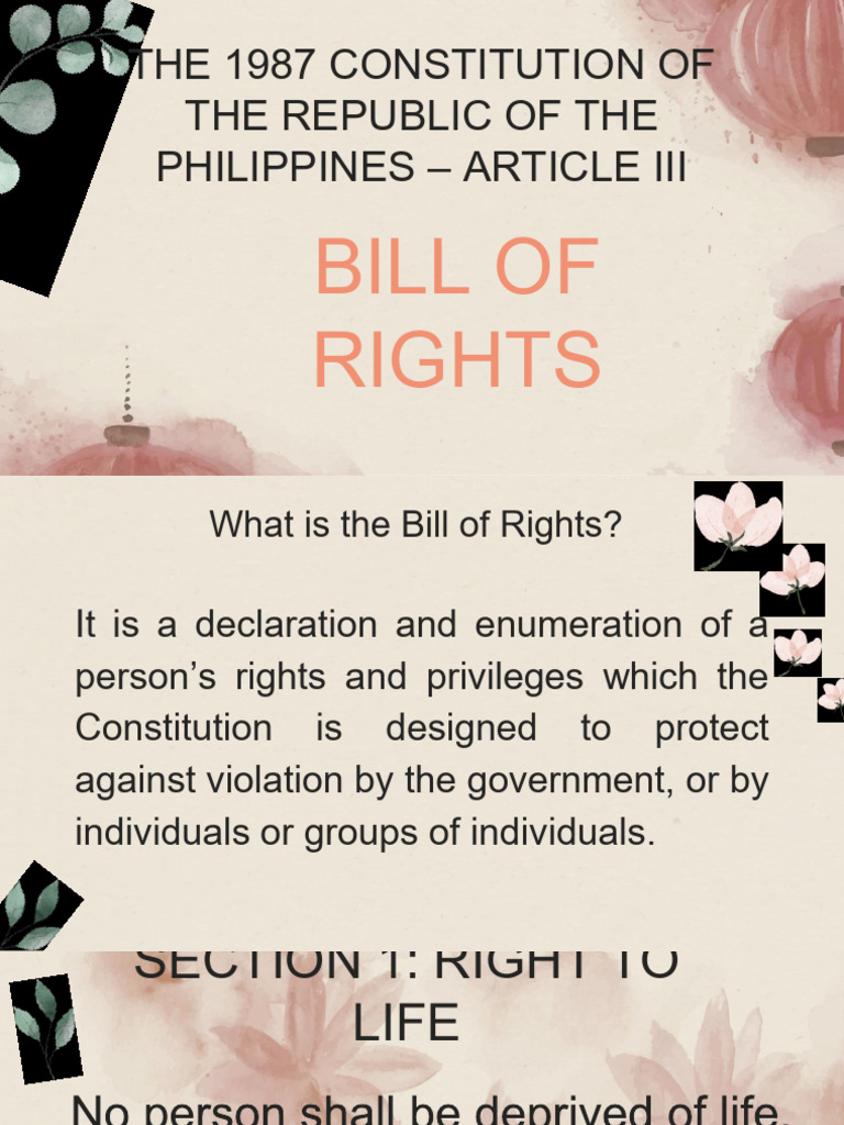 Bill of Rights | PDF